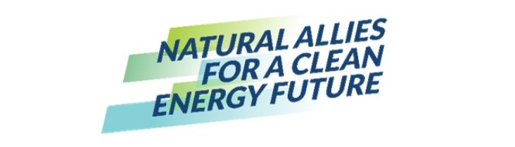 New Poll Shows New Yorkers are Concerned about Energy Bills, Demand Energy Choice, and Oppose by ...